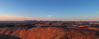 Shop 1up Bike Racks | Durable & Easy to Use Bike Rack Collection – Owl ...